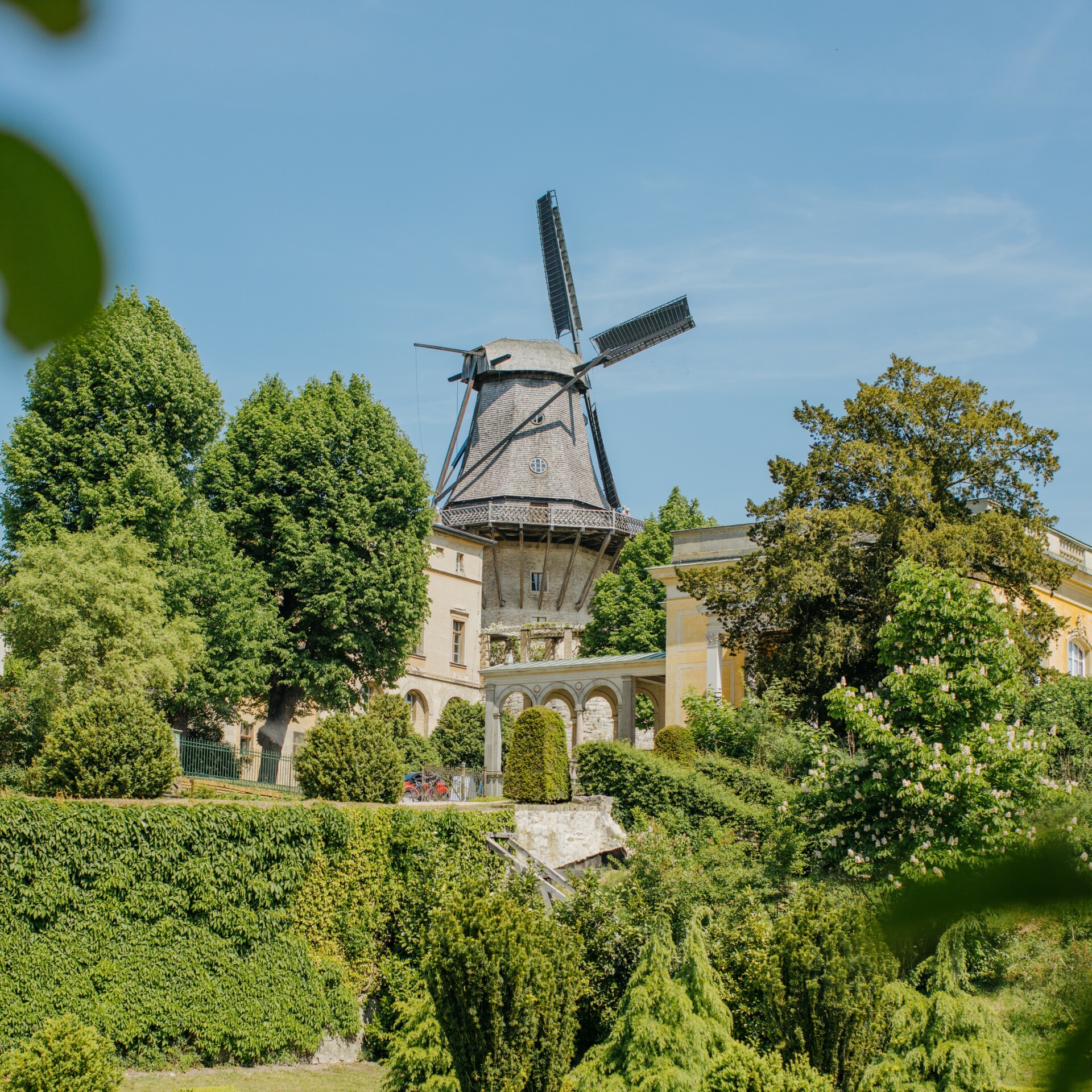 Wool, wine, visions - Holland in Potsdam